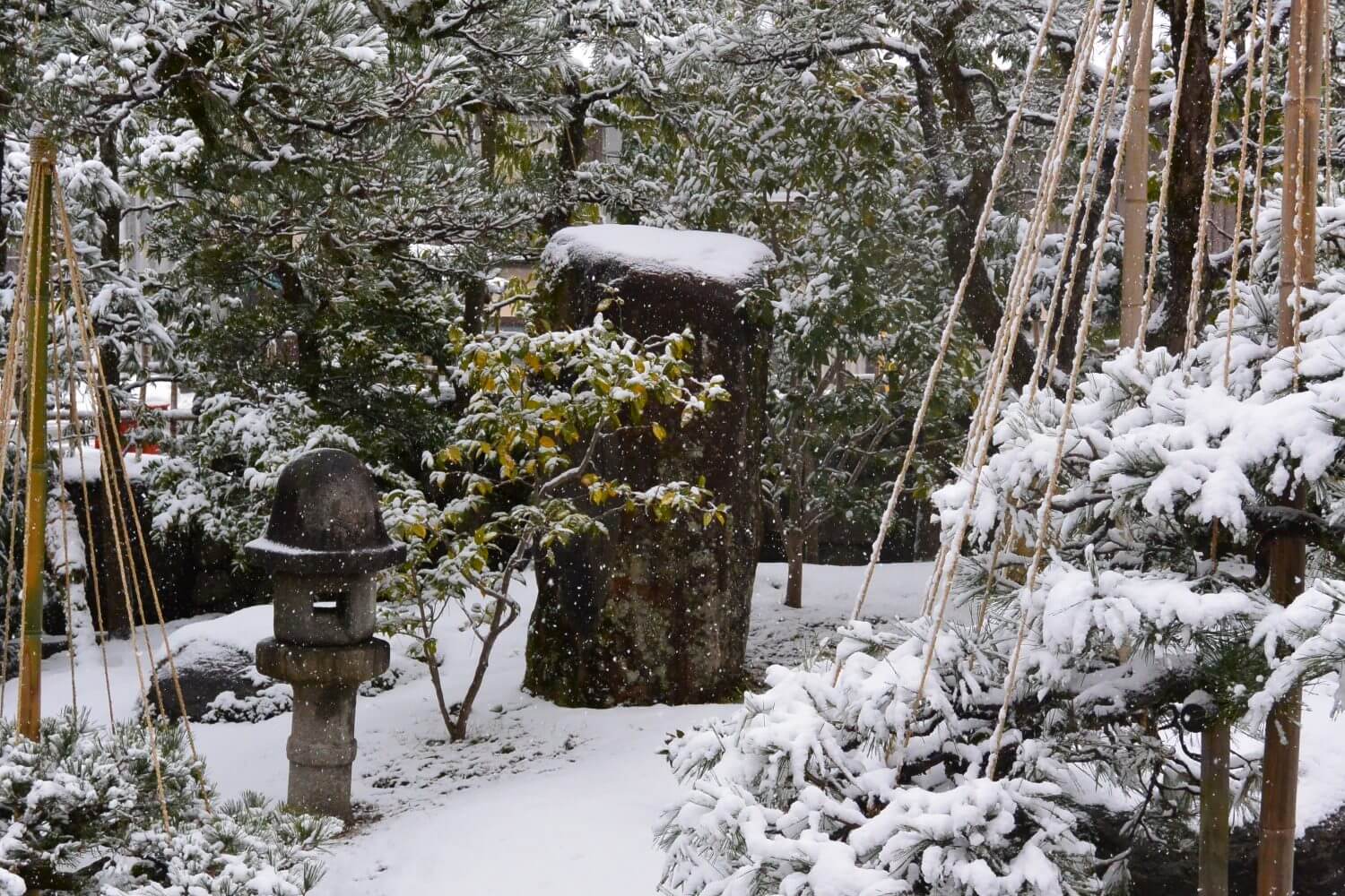 Snowy Kyotango - Visit Kyotango