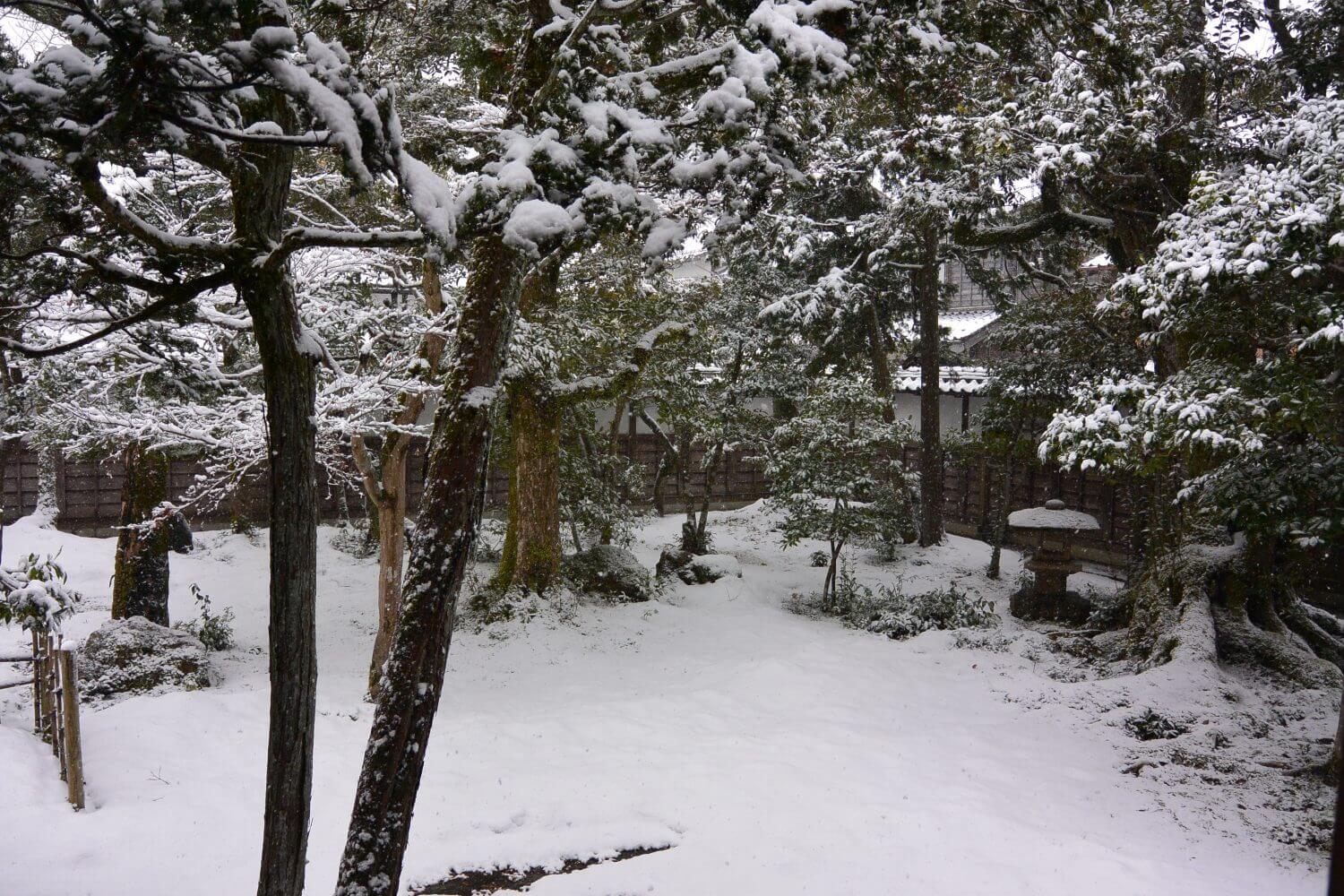 Snowy Kyotango - Visit Kyotango