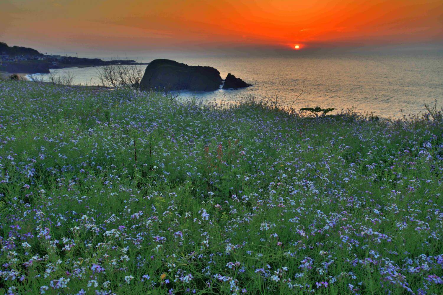 Come See the Best Sunsets in Japan - Visit Kyotango