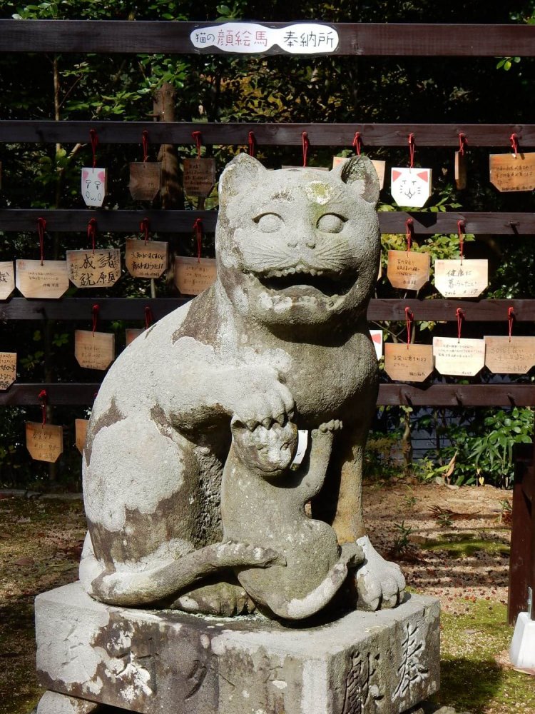 Year of the Tiger - Visit Kyotango